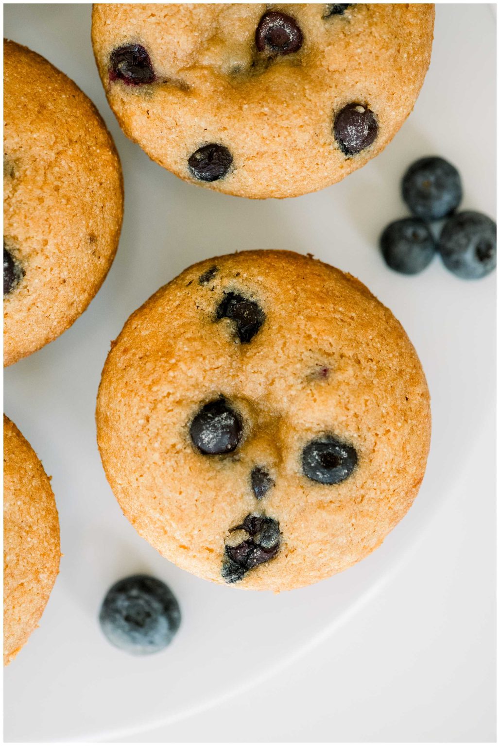 Blueberry Muffins Made With Fresh Milled Flour - Real and Rustic