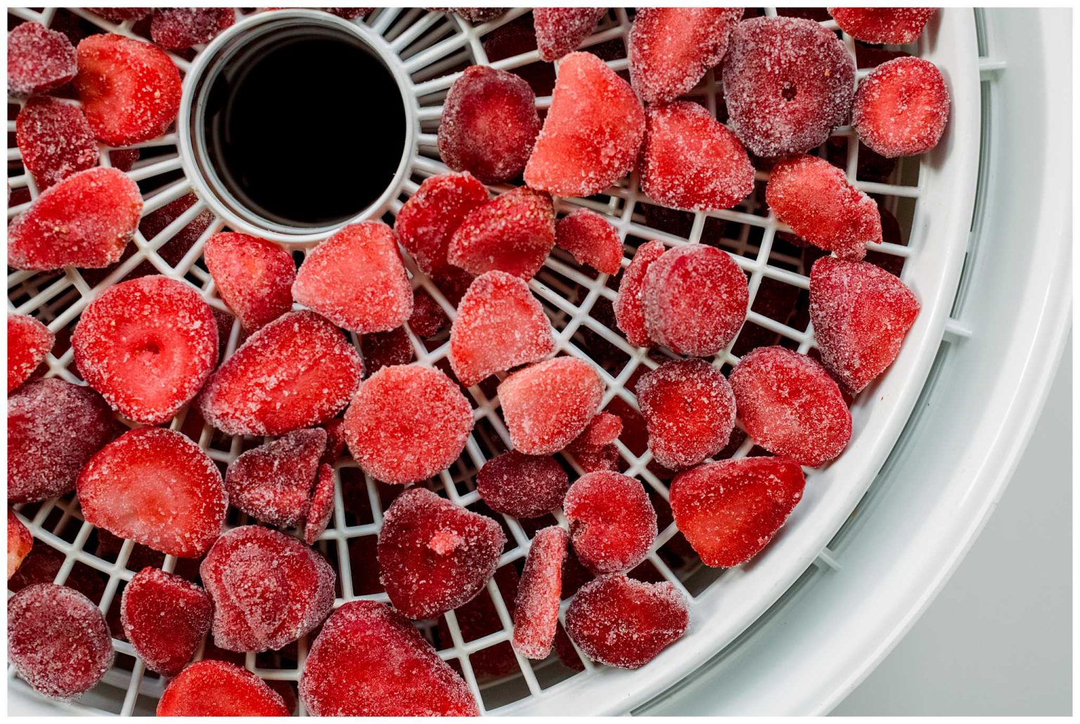 How to Dehydrate Strawberries (Fresh and Frozen!) - Real and Rustic