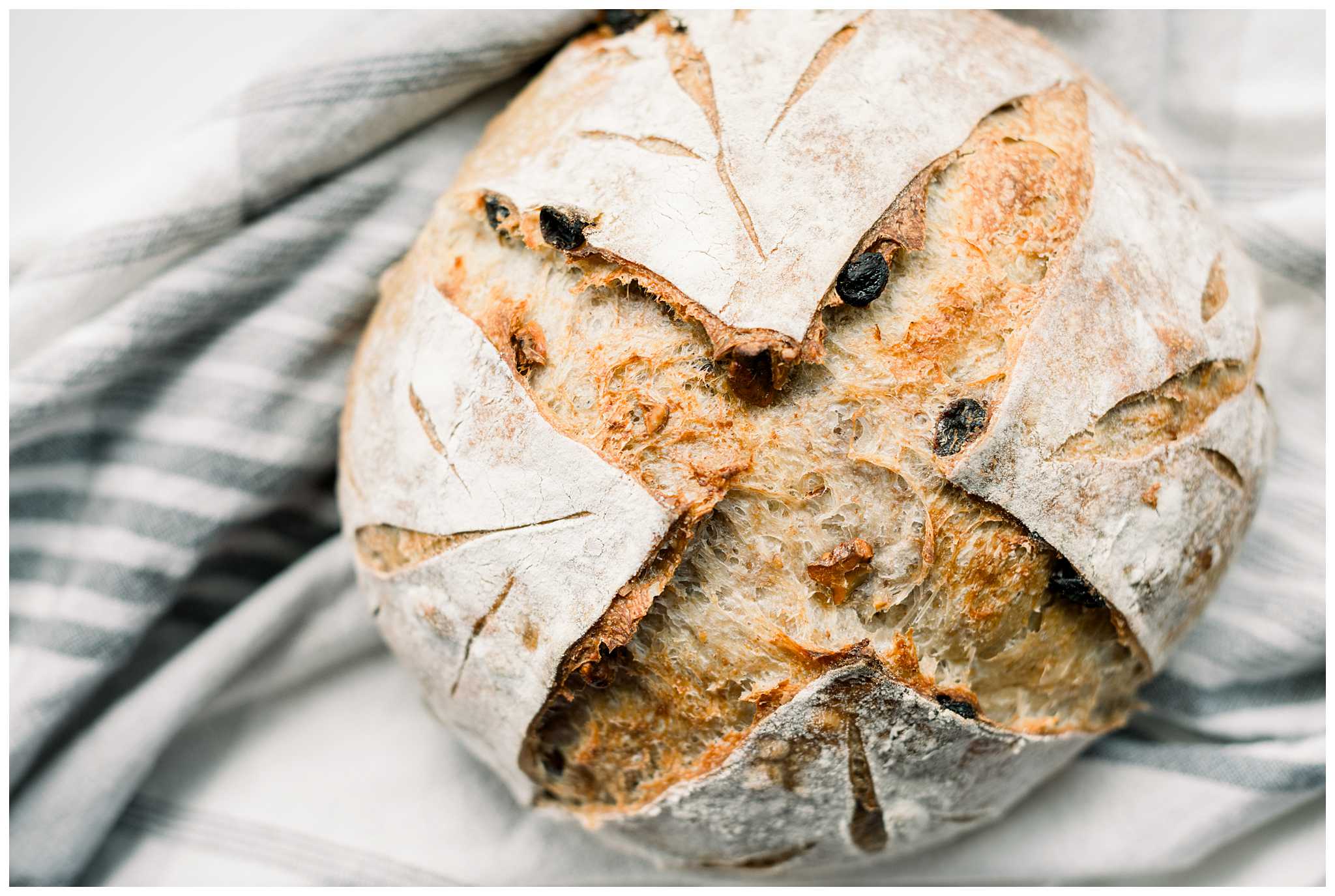 Walnut Raisin Sourdough Bread Recipe - Real and Rustic